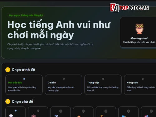 Website Học Tiếng Anh LinguaVui
